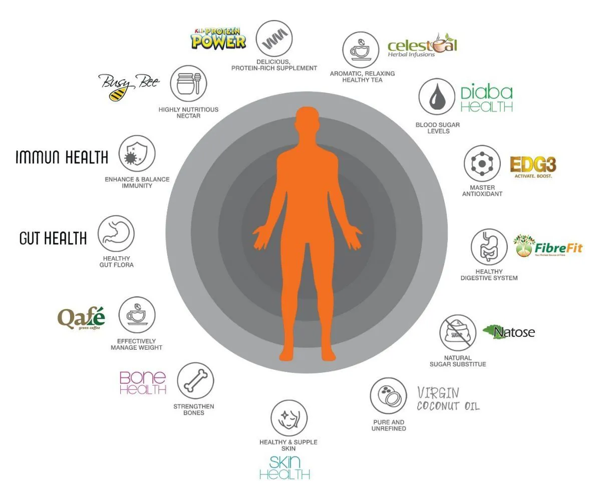 QNET And The Wellness Industry - QNET