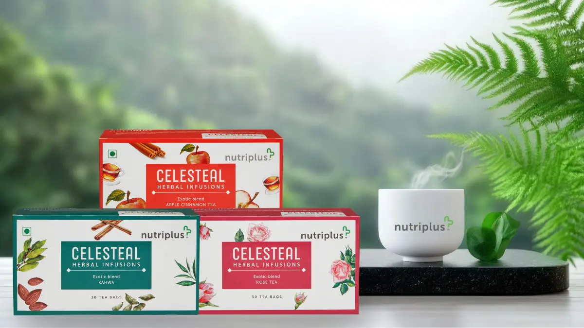 Best Herbal Teas for Focus and Calm During Work Hours